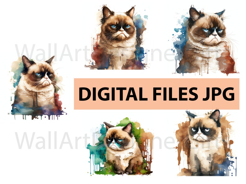 20 Grumpy Cat Clipart JPG Bundle, Full Commercial Use, Cute Baby Shower ...