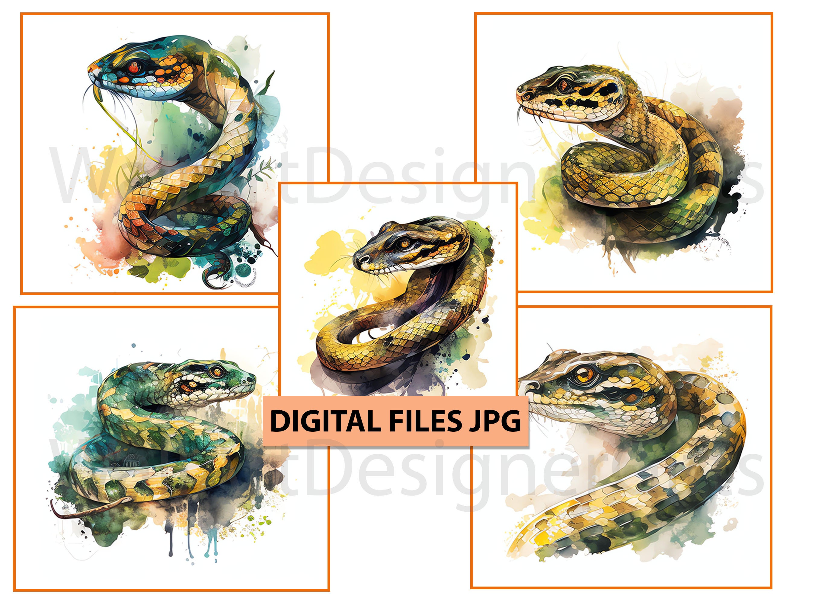 Farm Animals Clipart 20 JPG Snake Bundle, Full Commercial Use, Cute ...