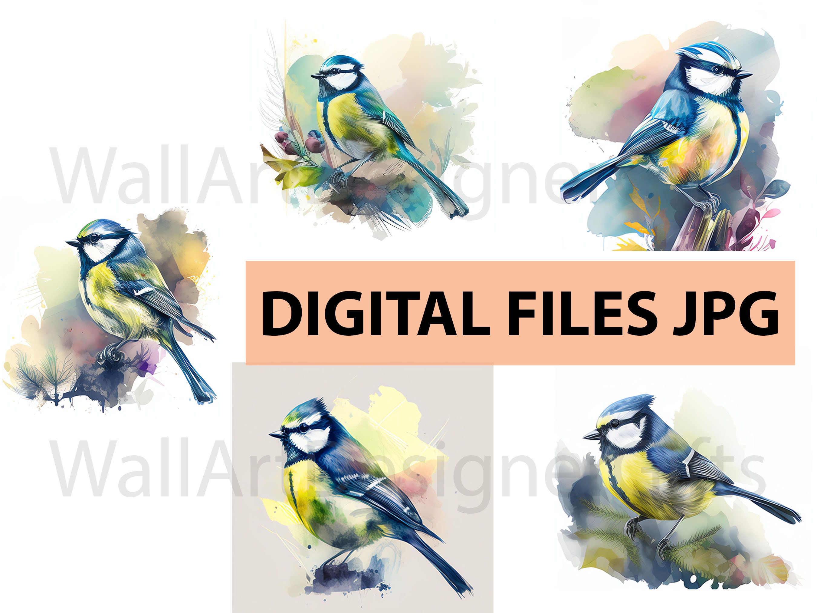 Bluetit Clipart People