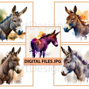 Farm Animals Clipart 20 JPG Donkey Bundle, Full Commercial Use, Cute ...