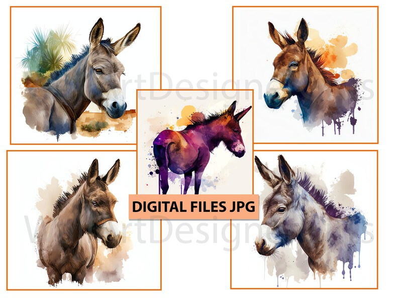 Farm Animals Clipart 20 JPG Donkey Bundle, Full Commercial Use, Cute ...