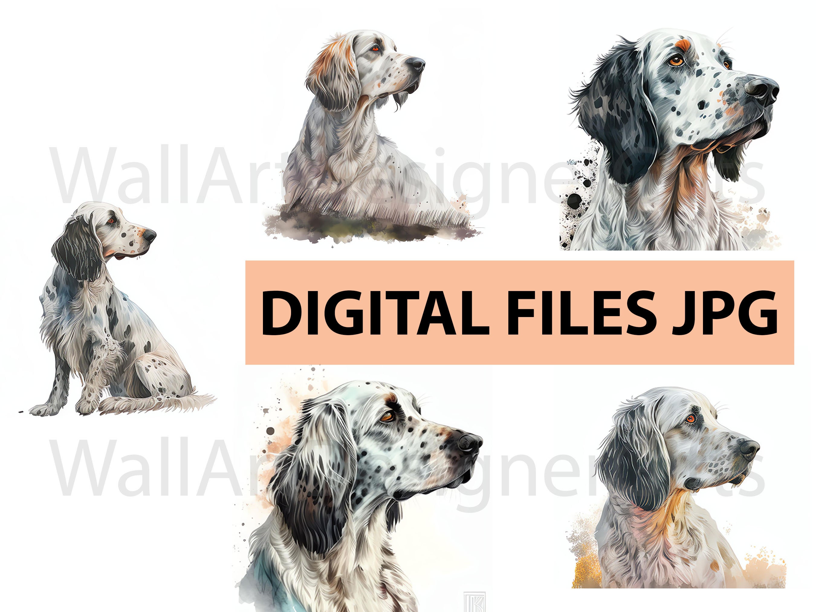 20 English Setter Clipart JPG Bundle, Full Commercial Use, Cute Baby ...