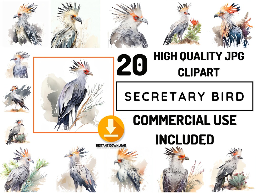 Secretary Bird Clipart 20 High Quality Safari Animals JPG Bundle, Full ...