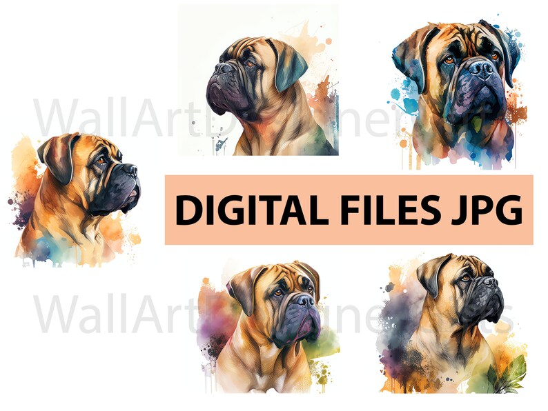 Bullmastiff Clipart 20 High Quality JPG, Full Commercial Use, Digital ...