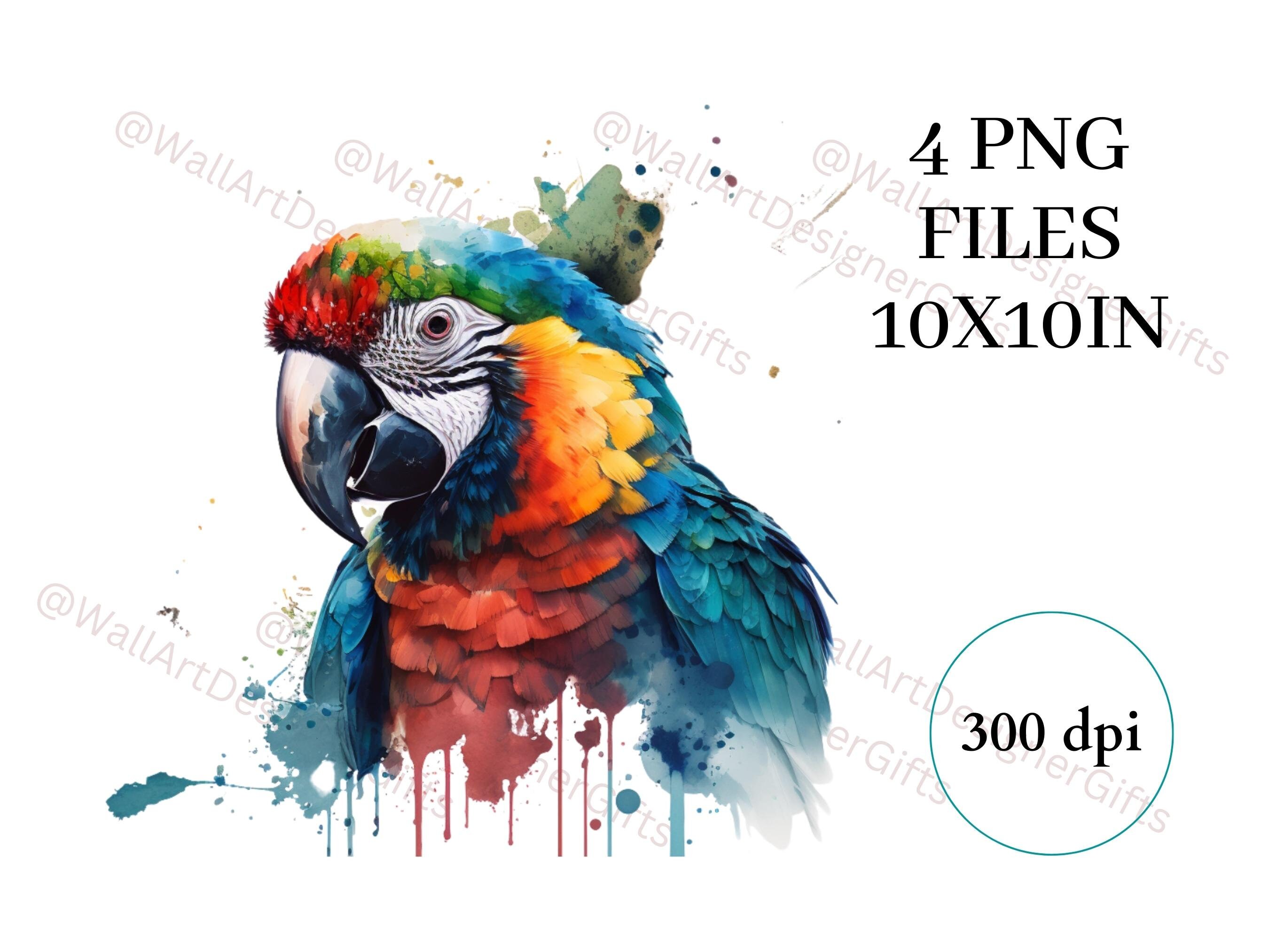 Macaw Watercolor Clipart, Macaw Watercolor, Macaw Clipart PNG ...