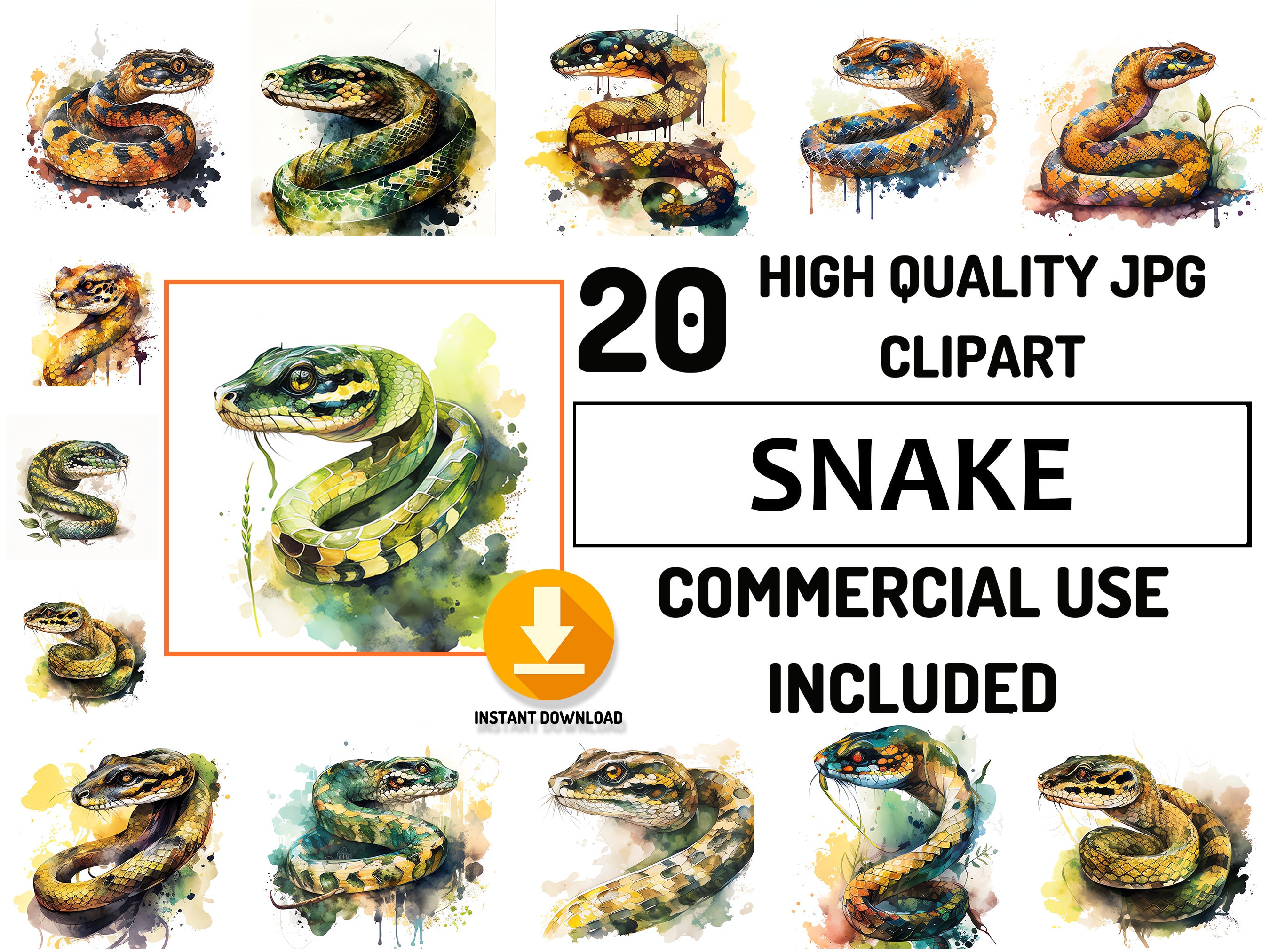 Farm Animals Clipart 20 JPG Snake Bundle, Full Commercial Use, Cute ...
