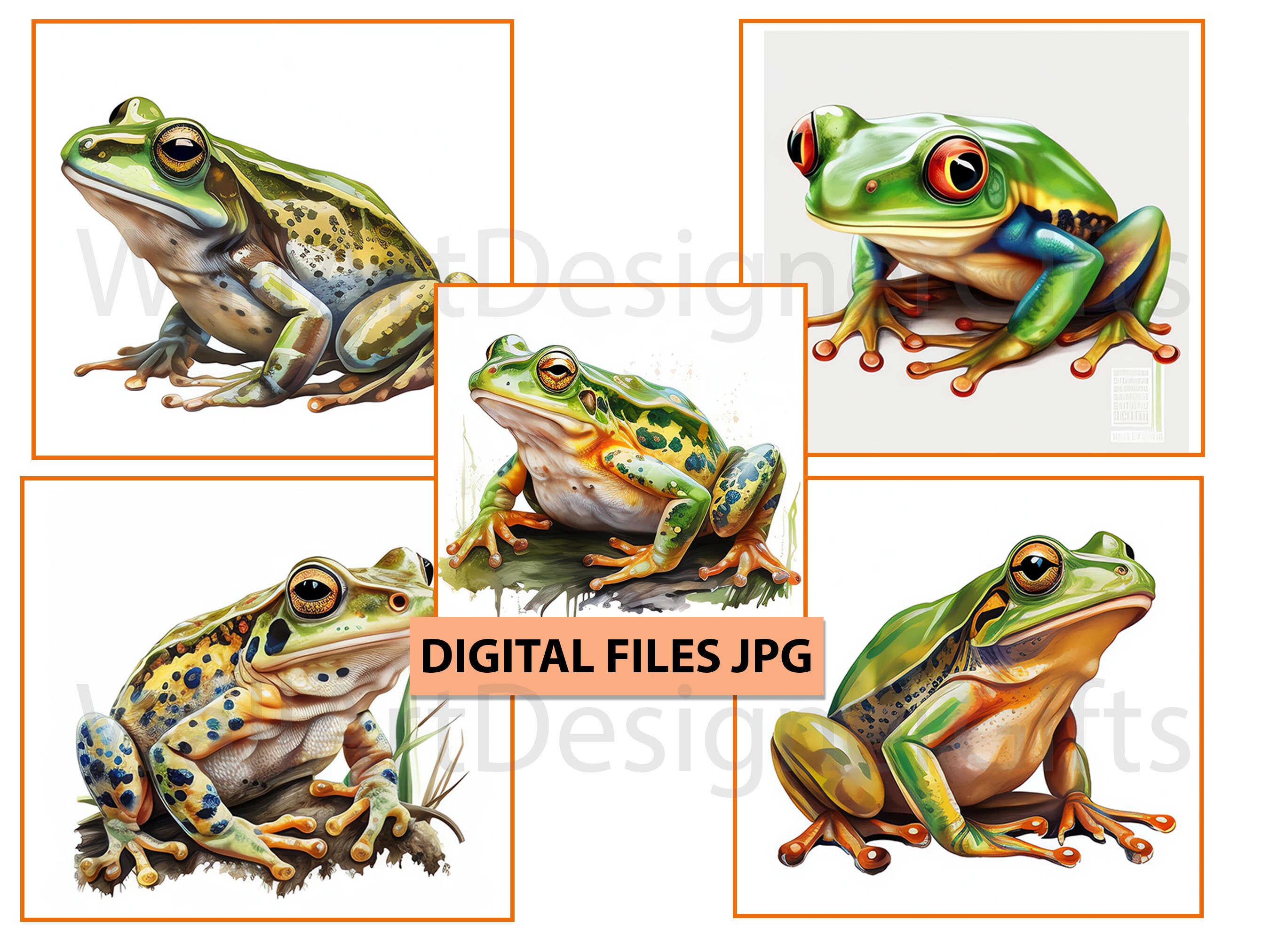 Frog Clipart 20 High Quality Woodland Animals JPG Bundle, Full ...