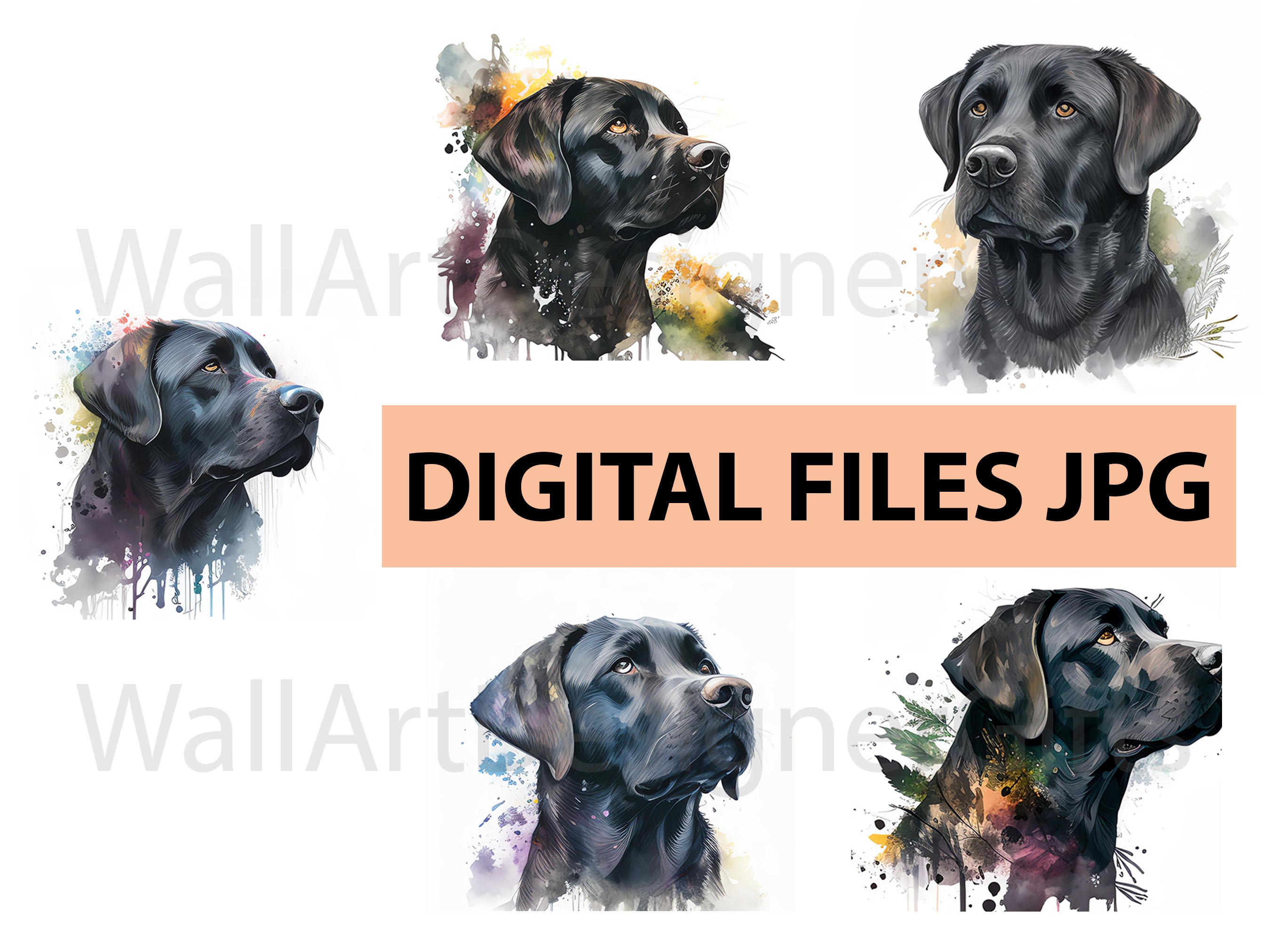 Black Labrador Clipart 20 High Quality Jpgs, Full Commercial Use ...