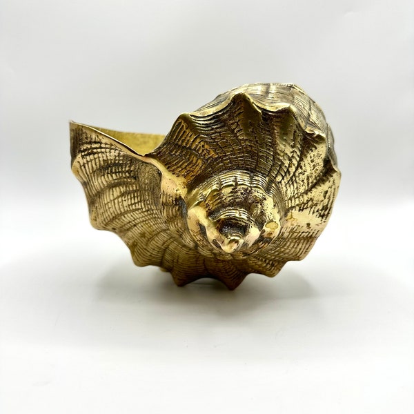 Conch Shell Planter - Etsy