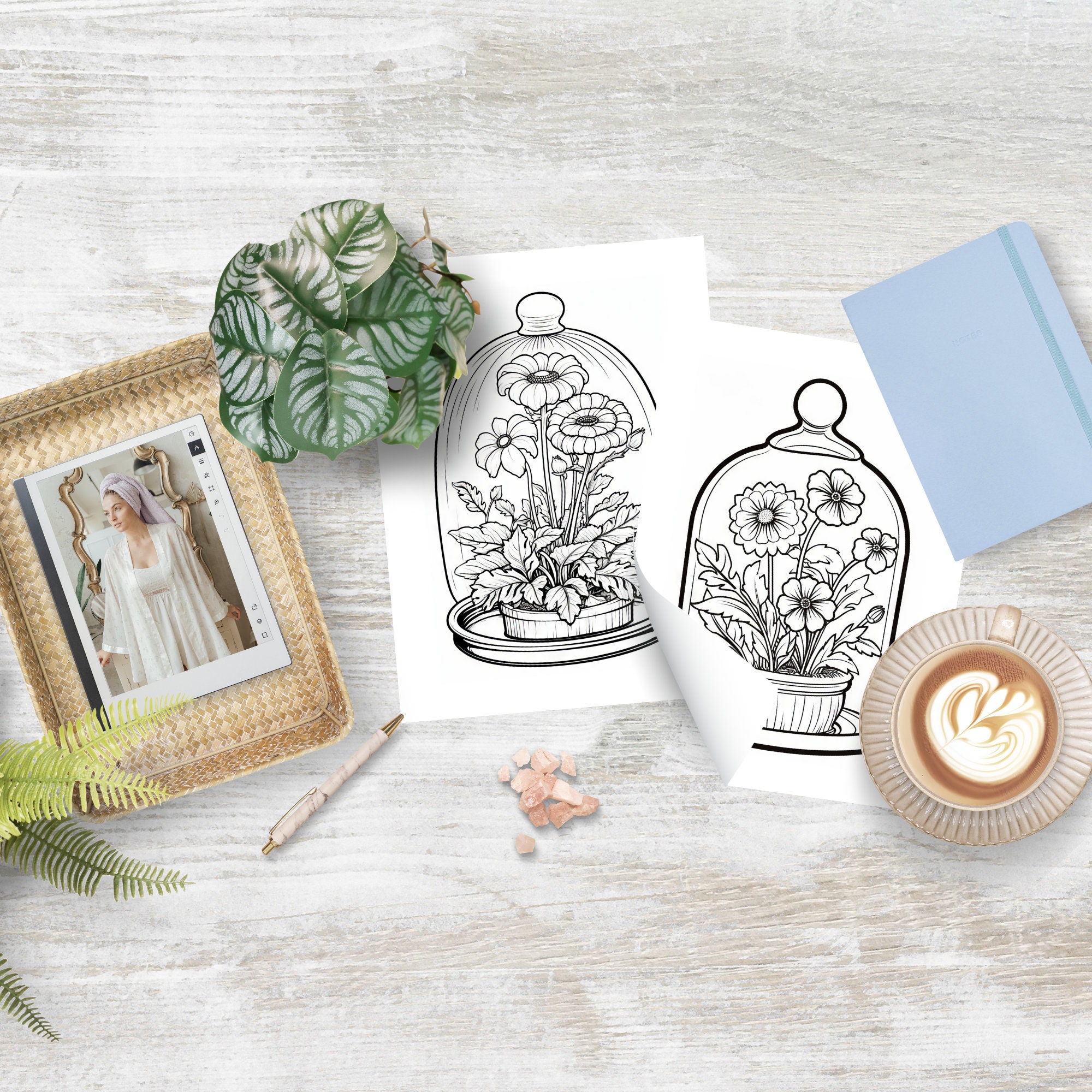 Terrarium Coloring Pages, Simple Coloring Book, Printable Coloring ...