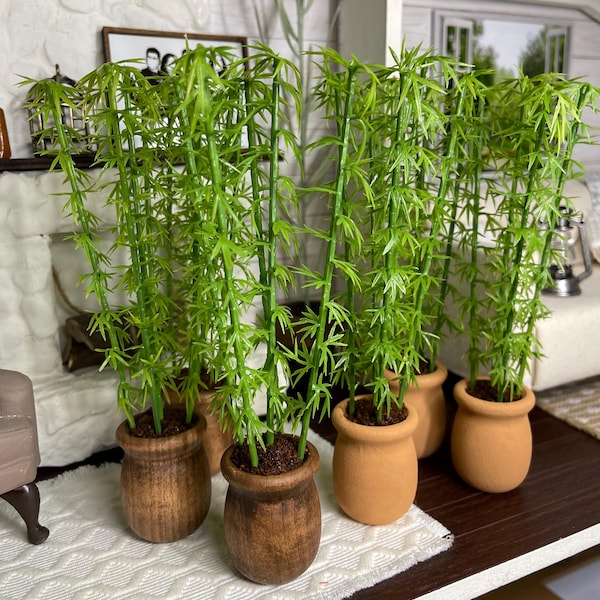Miniature Bamboo - Etsy