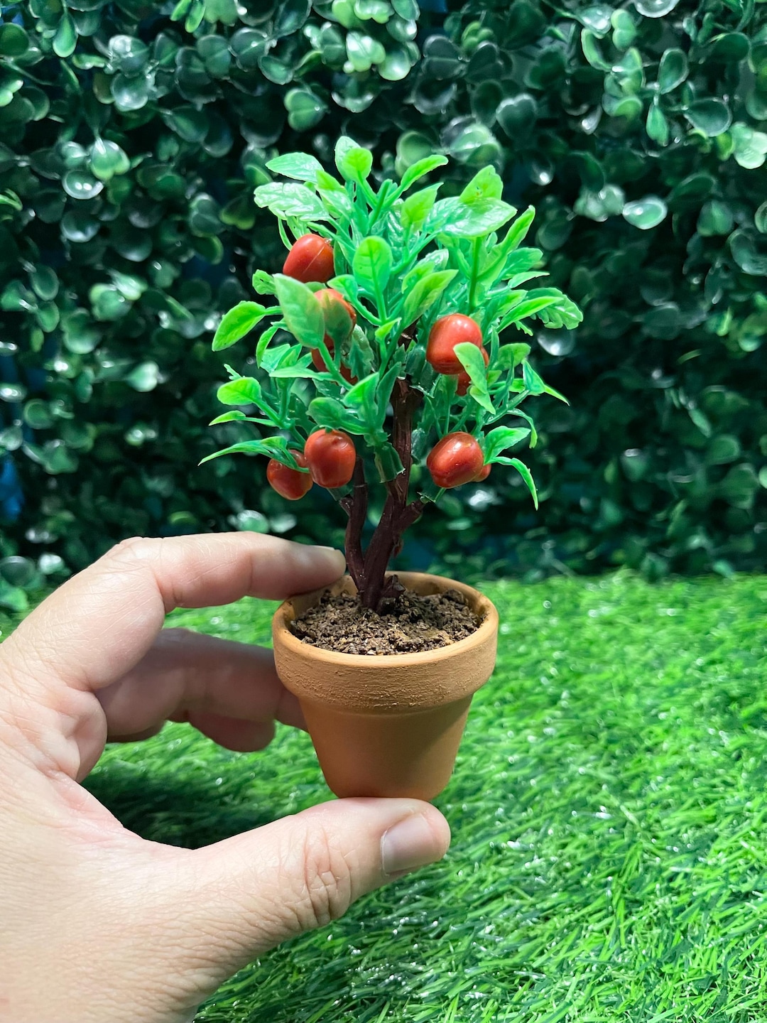 Miniature Apple Tree in Clay Pot (5 Inches) - Etsy