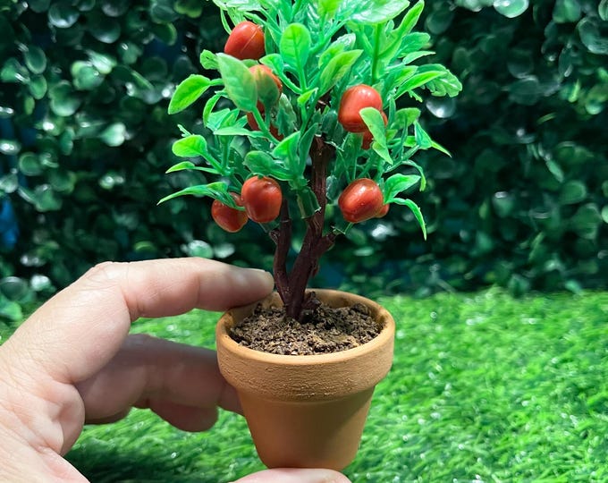 Miniature Apple Tree in Clay Pot (5 Inches) - Etsy