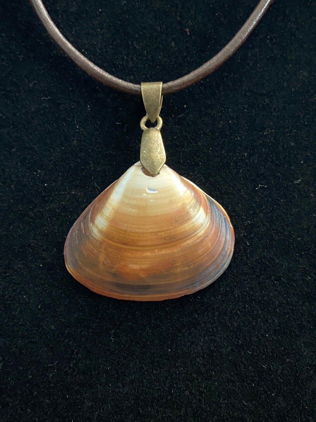 Tan, Brown and Gray Seashell With Brown Leather Cord Necklace - Etsy