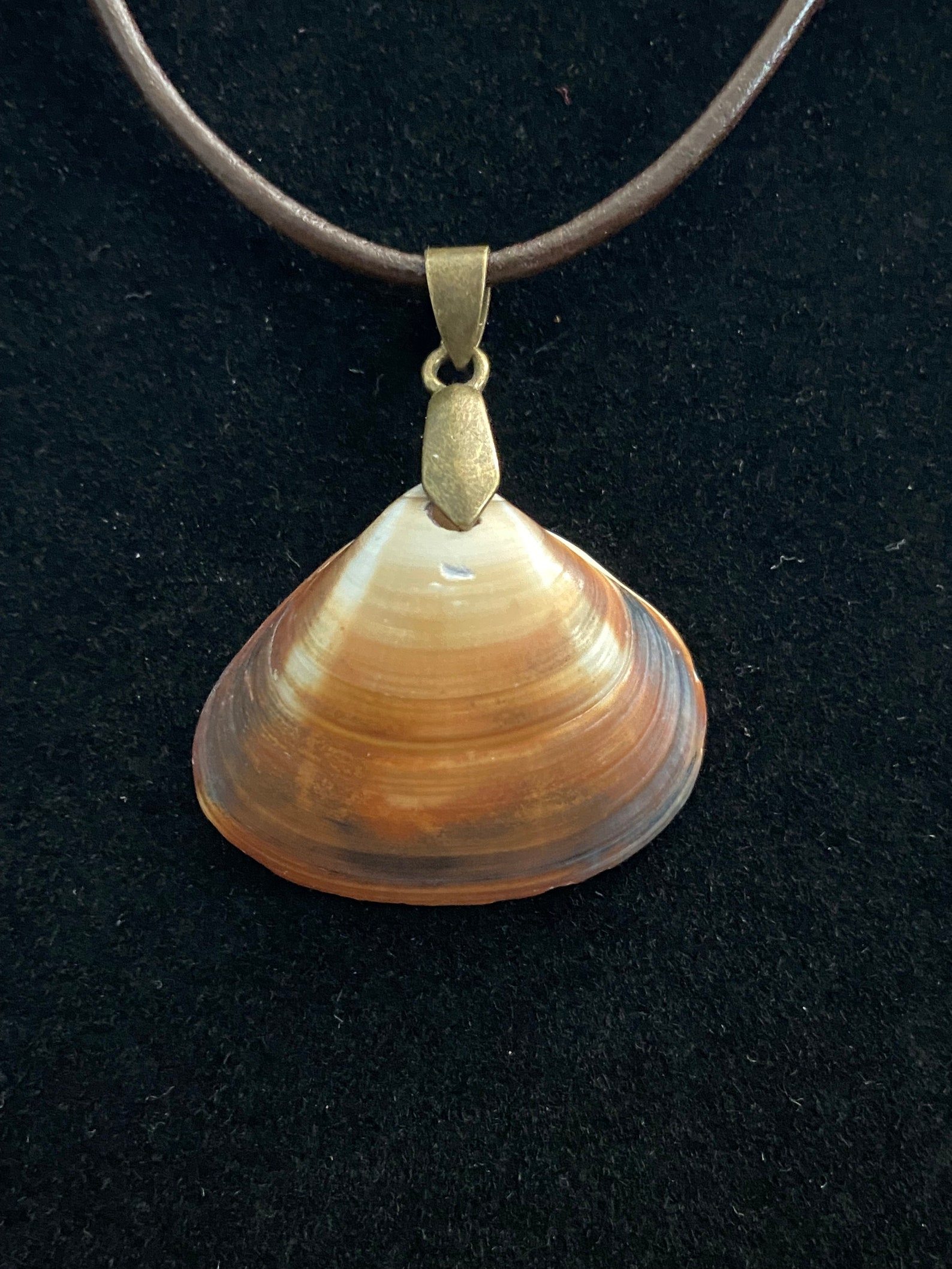 Tan, Brown and Gray Seashell With Brown Leather Cord Necklace - Etsy