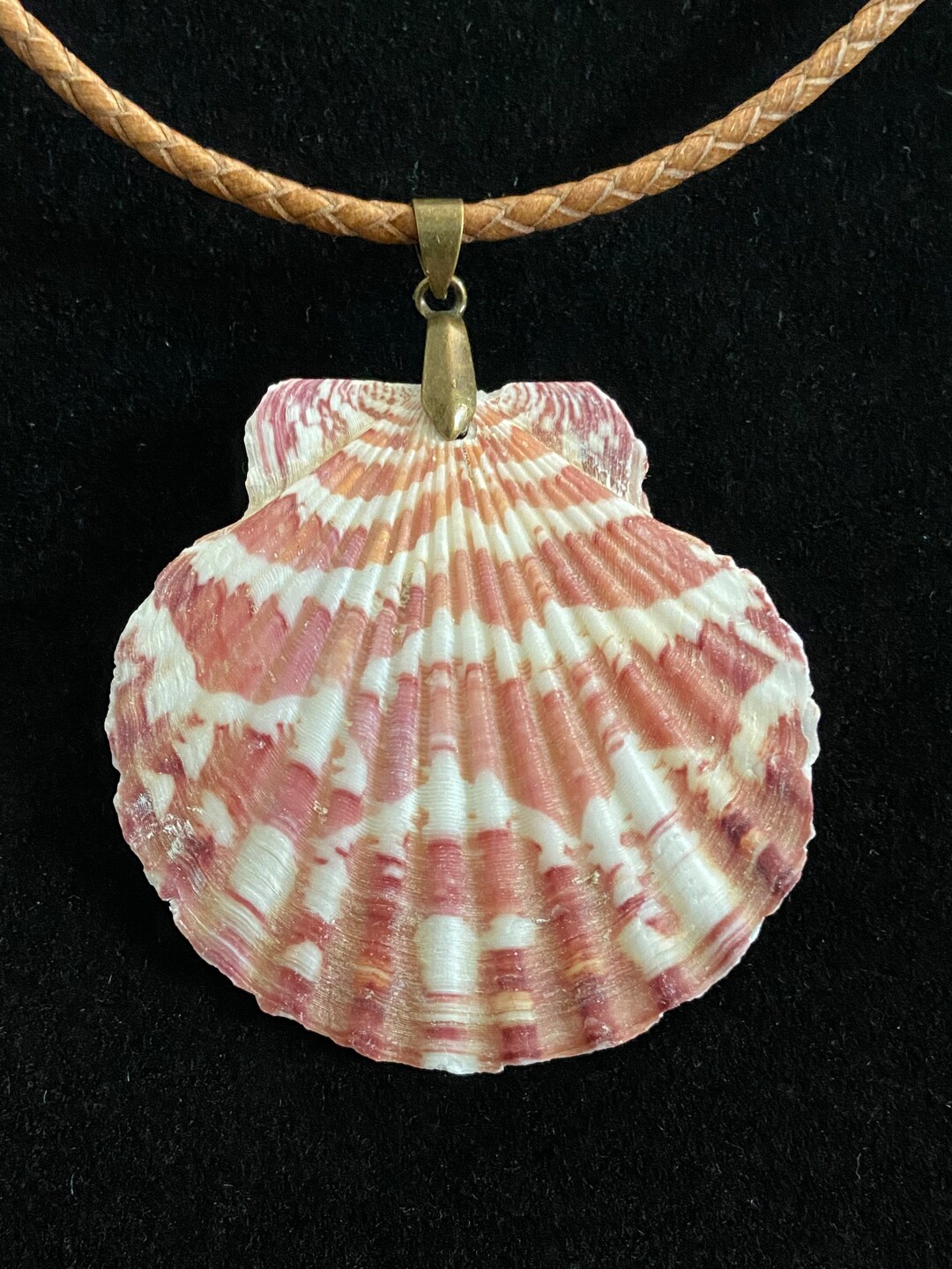 White, Maroon & Tan Seashell With Light Brown Leather Cord Necklace 4 ...
