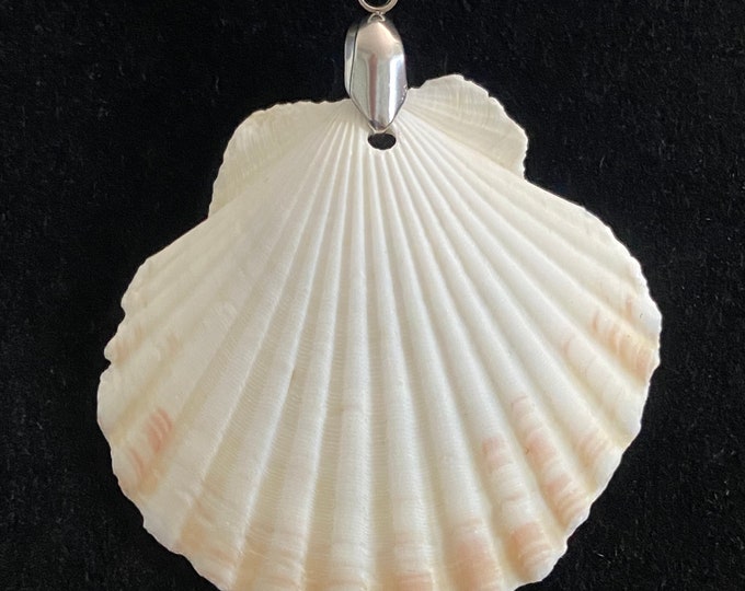 White and Tan Seashell With White Leather Necklace - Etsy