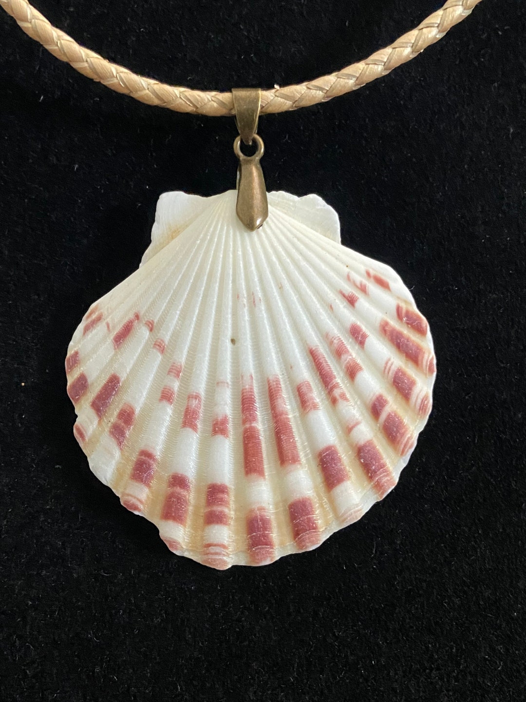 White, Maroon & Tan Seashell With Tan Leather Cord Necklace 5 - Etsy