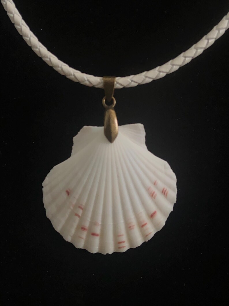 White and Tan Seashell With White Leather Necklace 2 - Etsy