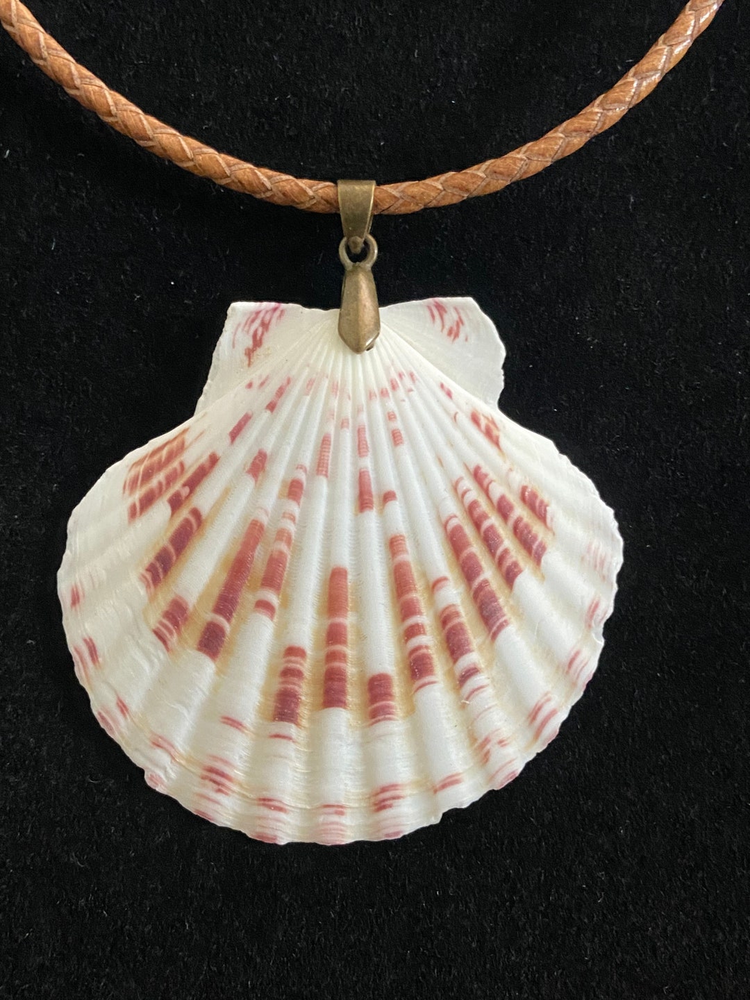 White, Maroon & Tan Seashell With Light Brown Leather Cord Necklace - Etsy
