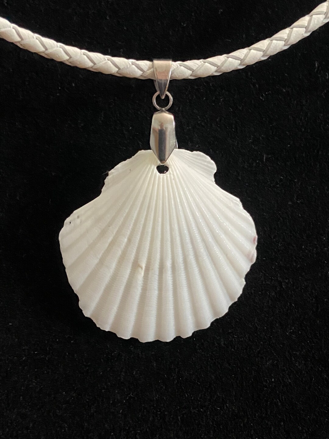 White Seashell With White Leather Necklace 4 - Etsy