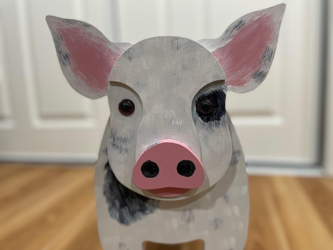 Pig Handcrafted Painted Planter, Organizer, Garden Décor Gift Toy and ...