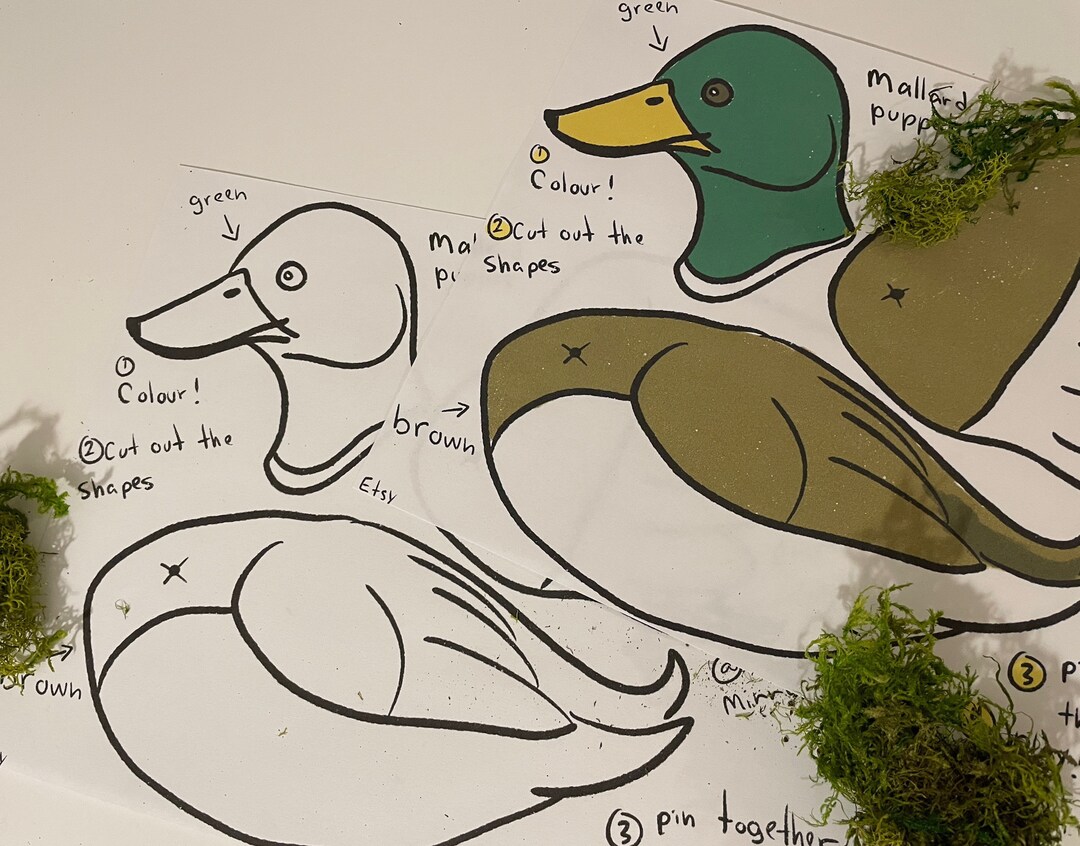 Mallard Duck Paper Puppet Printables line Art Colored - Etsy Canada