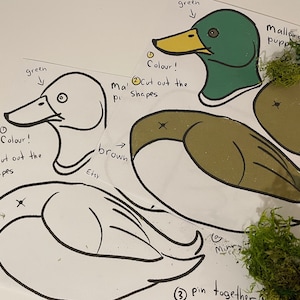 Mallard Duck Paper Puppet Printables line Art Colored - Etsy Canada