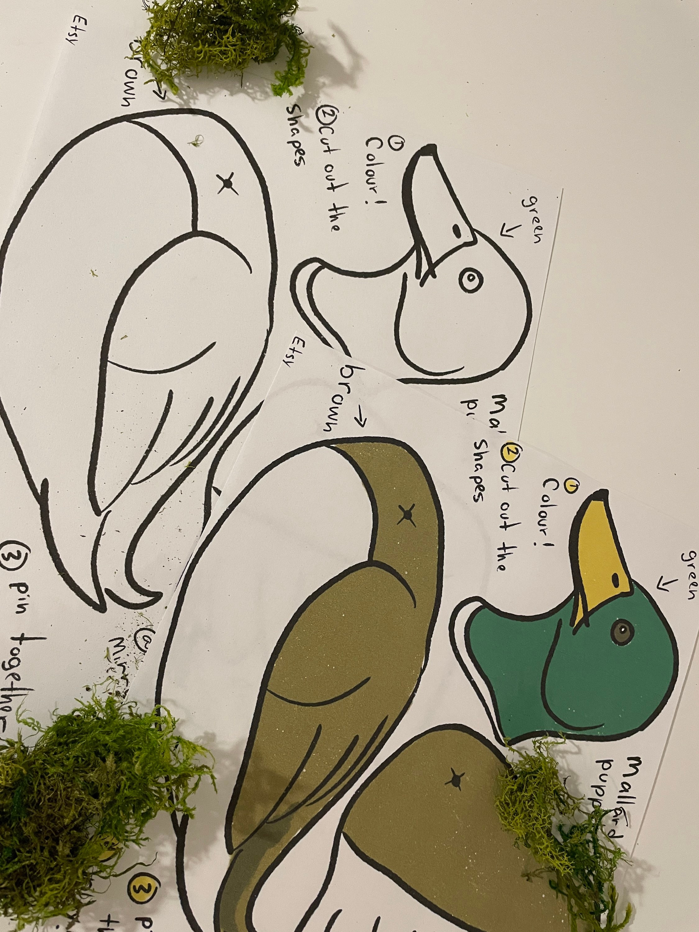 Mallard Duck Paper Puppet Printables line Art Colored - Etsy Canada