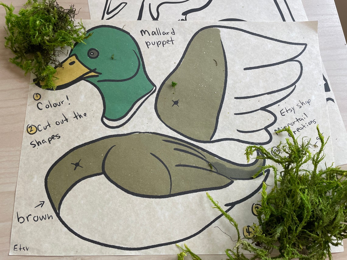 Mallard Duck Paper Puppet Printables line Art Colored - Etsy Canada