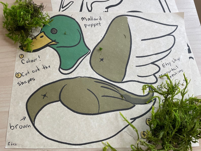 Mallard Duck Paper Puppet Printables line Art Colored - Etsy Canada