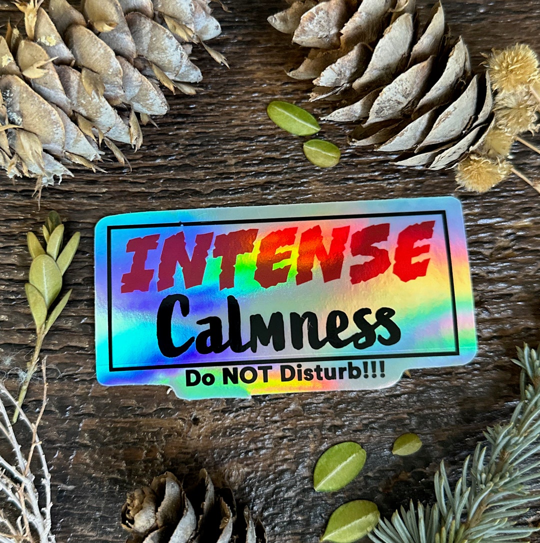 Intense Calmness Do NOT Disturb, Water Bottle Sticker, Sarcastic ...