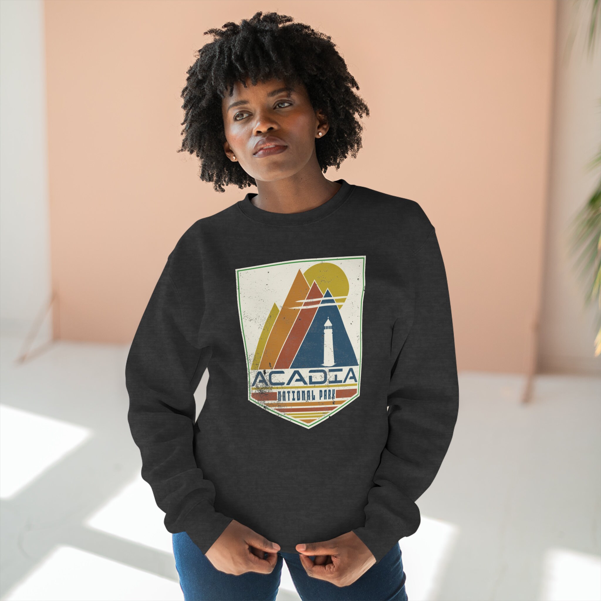 Acadia Vintage Sweatshirt, Arches Sweatshirt, Retro Sunset, Maine ...