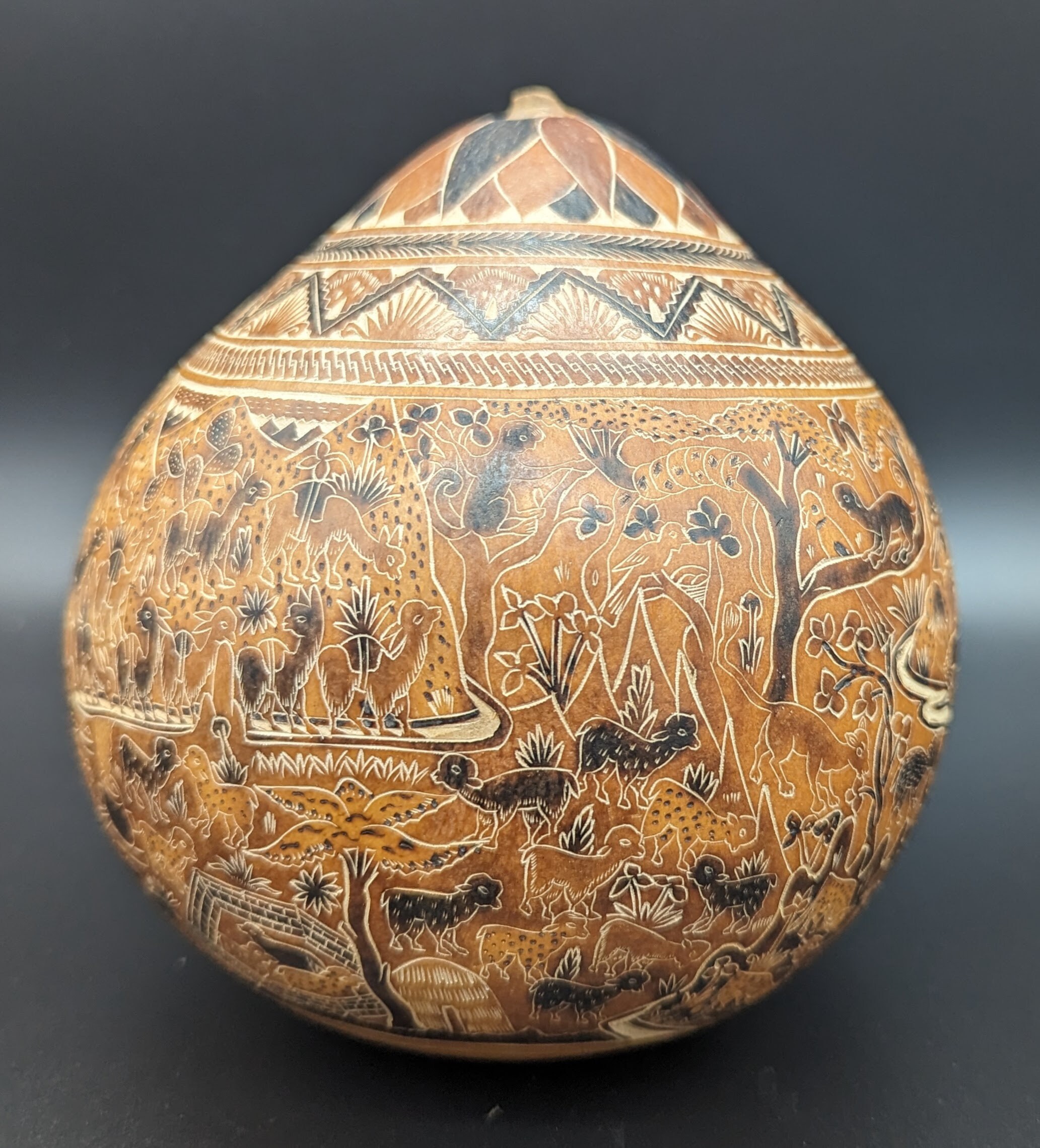 Carved Peruvian Gourd. Museum Quality Piece of Vintage Art. Seeds ...