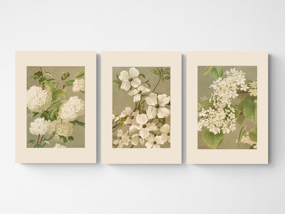 Vintage Botanical Print | Cottagecore Farmhouse French Country ...