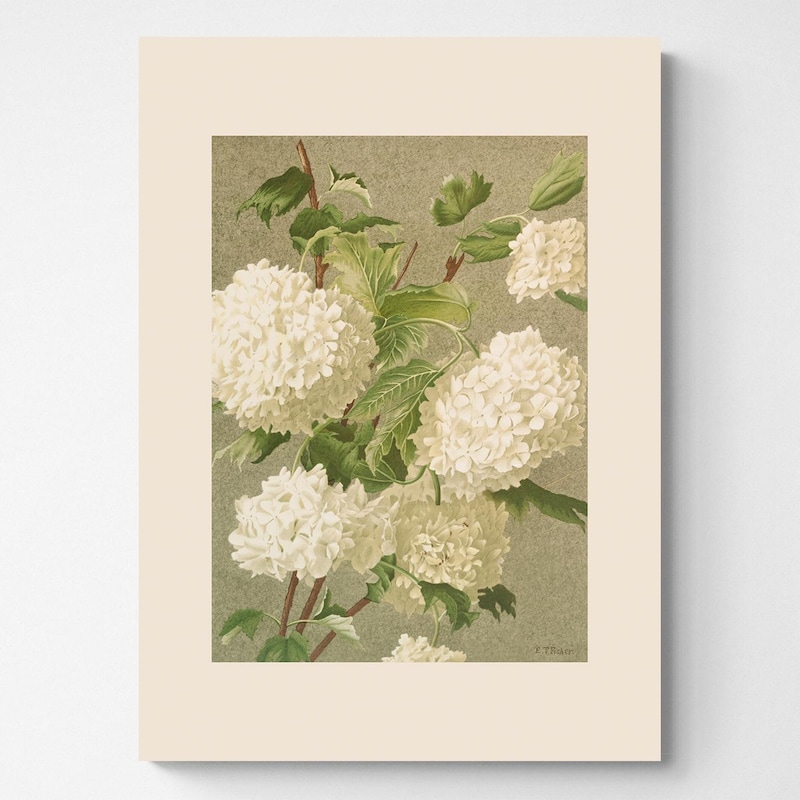 8x10 Prints for Entryway - Etsy