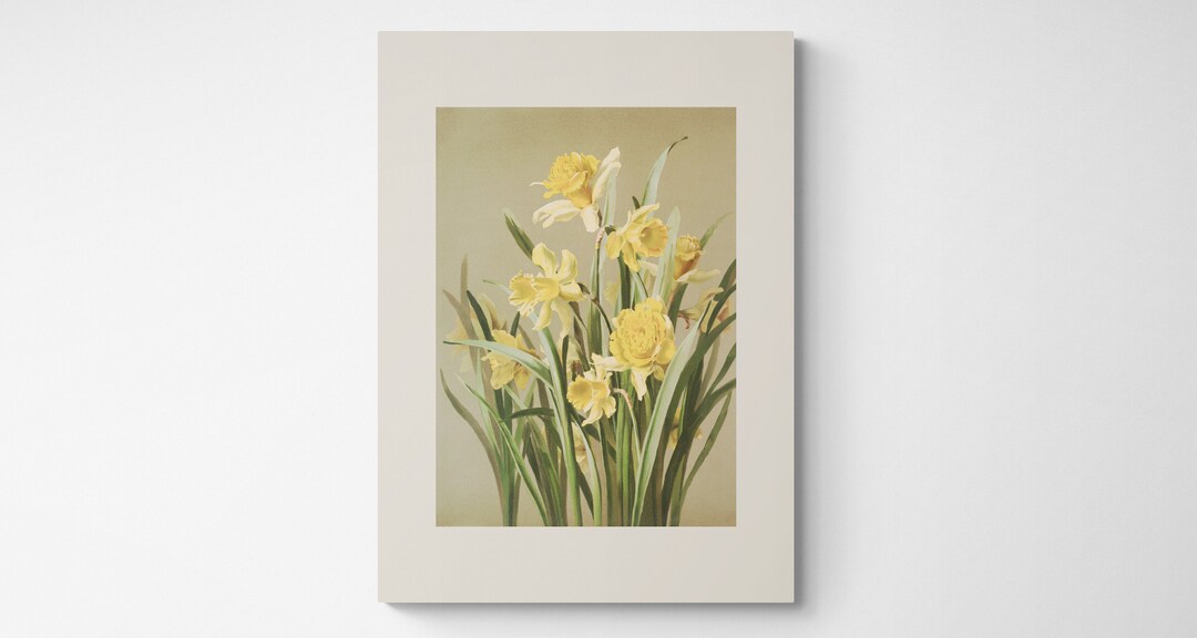 Vintage Botanical Print | Cottagecore Modern Farmhouse French Country ...