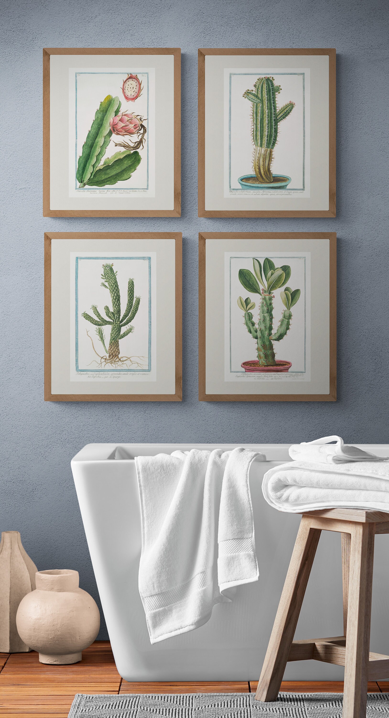 Vintage Botanical Print Cottagecore Farmhouse French Country Art Cactus Gallery Wall Set Plant ...