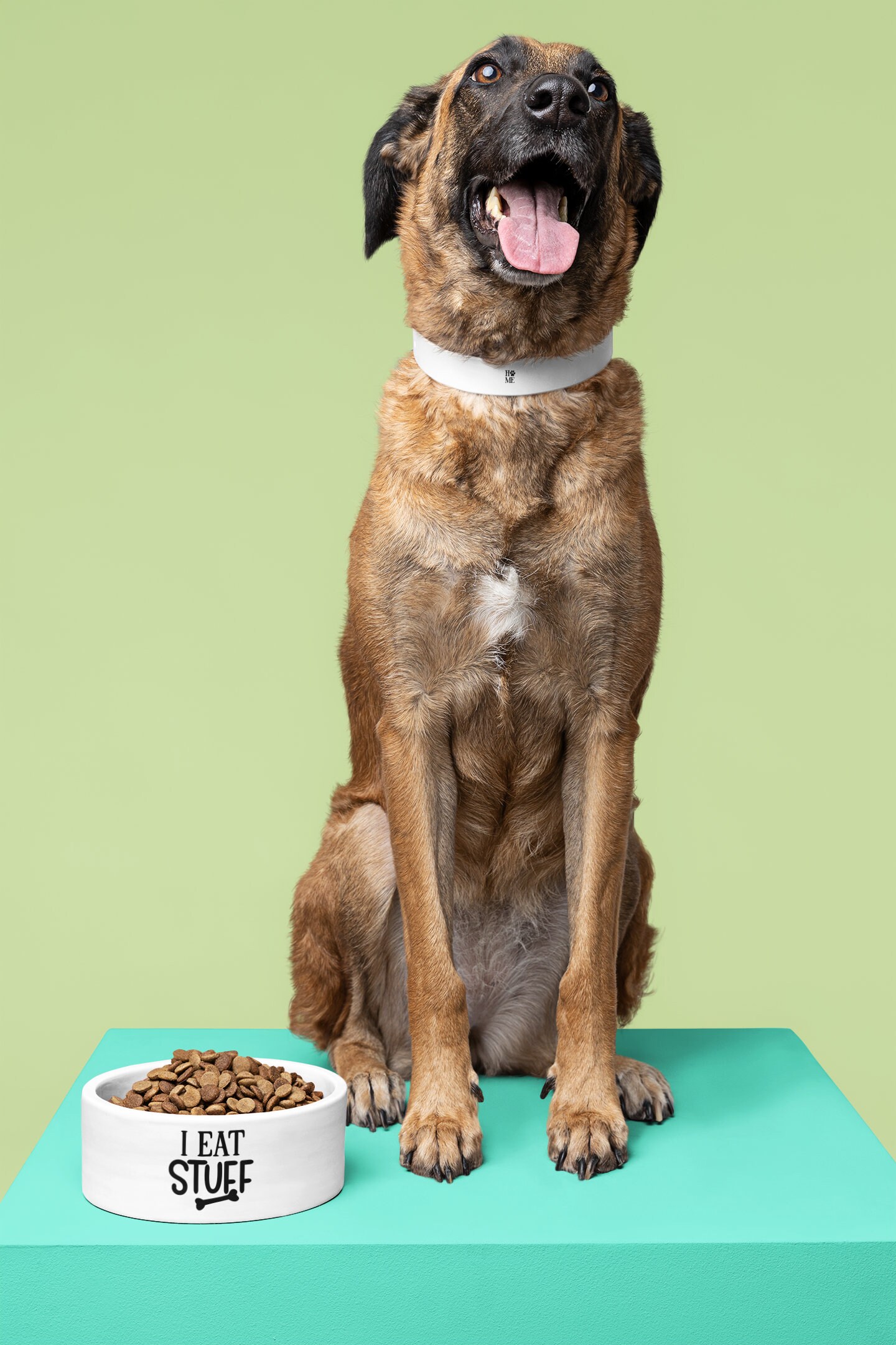 Dog Bundle SVG Dog Dad Svg Dog Mom Svg Cricut Bundle Funny - Etsy