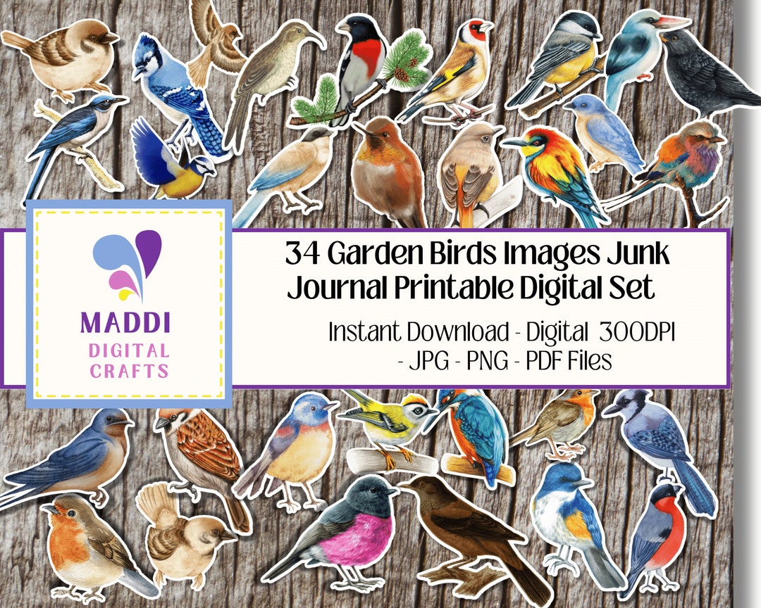 Garden Birds Printable Stickers Bird Illustrations Digital Journal Card ...