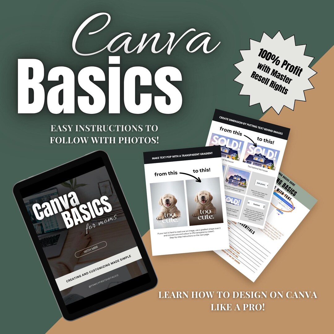 Canva Basics for Beginners | Step-by-step Canva Course | Easy Graphic ...