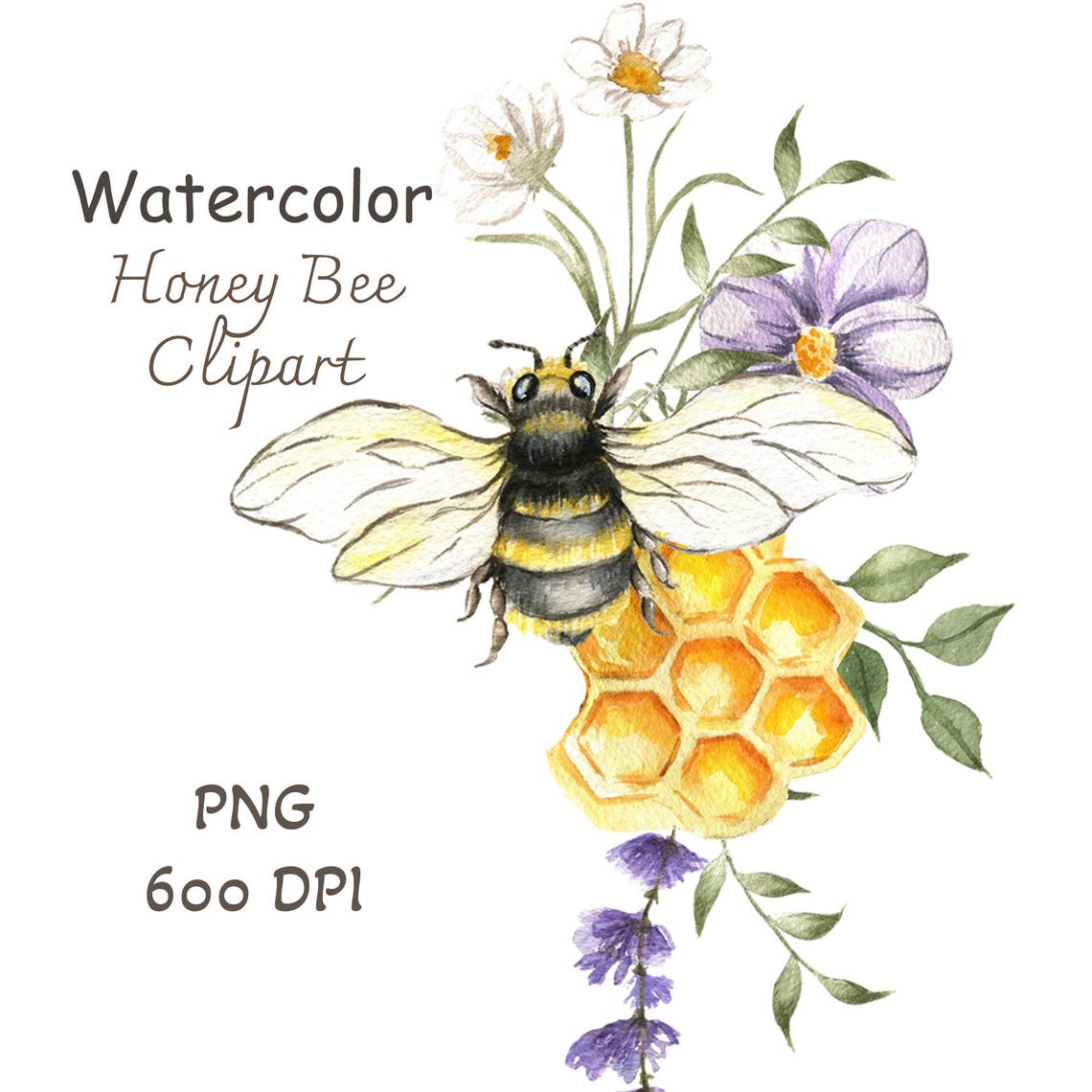 Watercolor Honey Bee Clipart .watercolor Design in Digital PNG Format ...