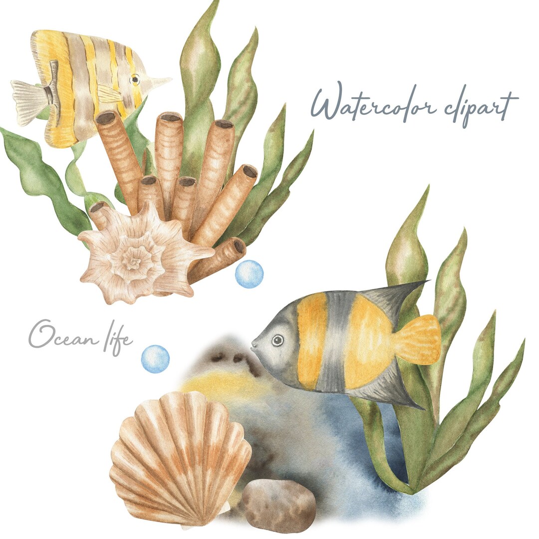 Watercolor Marine Digital Clipart. Ocean Lifearrangement . Fish and ...