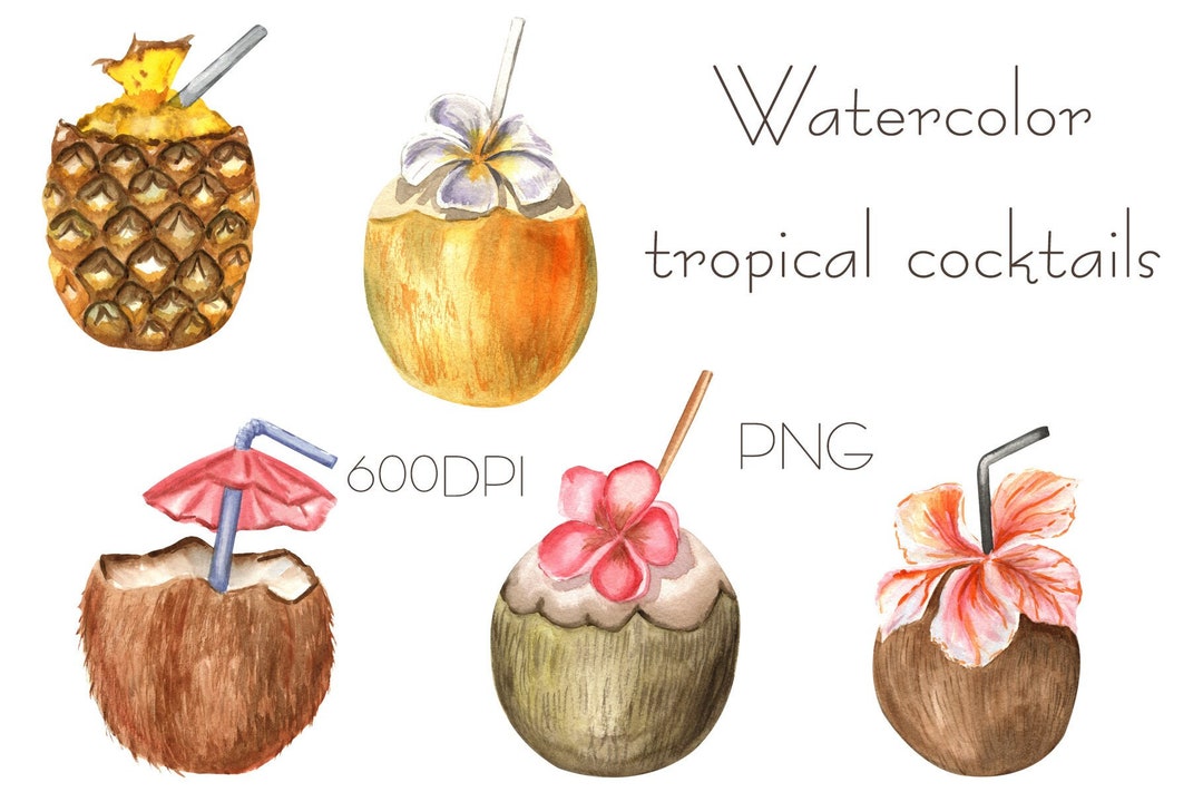 Watercolor Coconuts Clipart, Tropical Summer Clipart, Coconut Cocktail ...