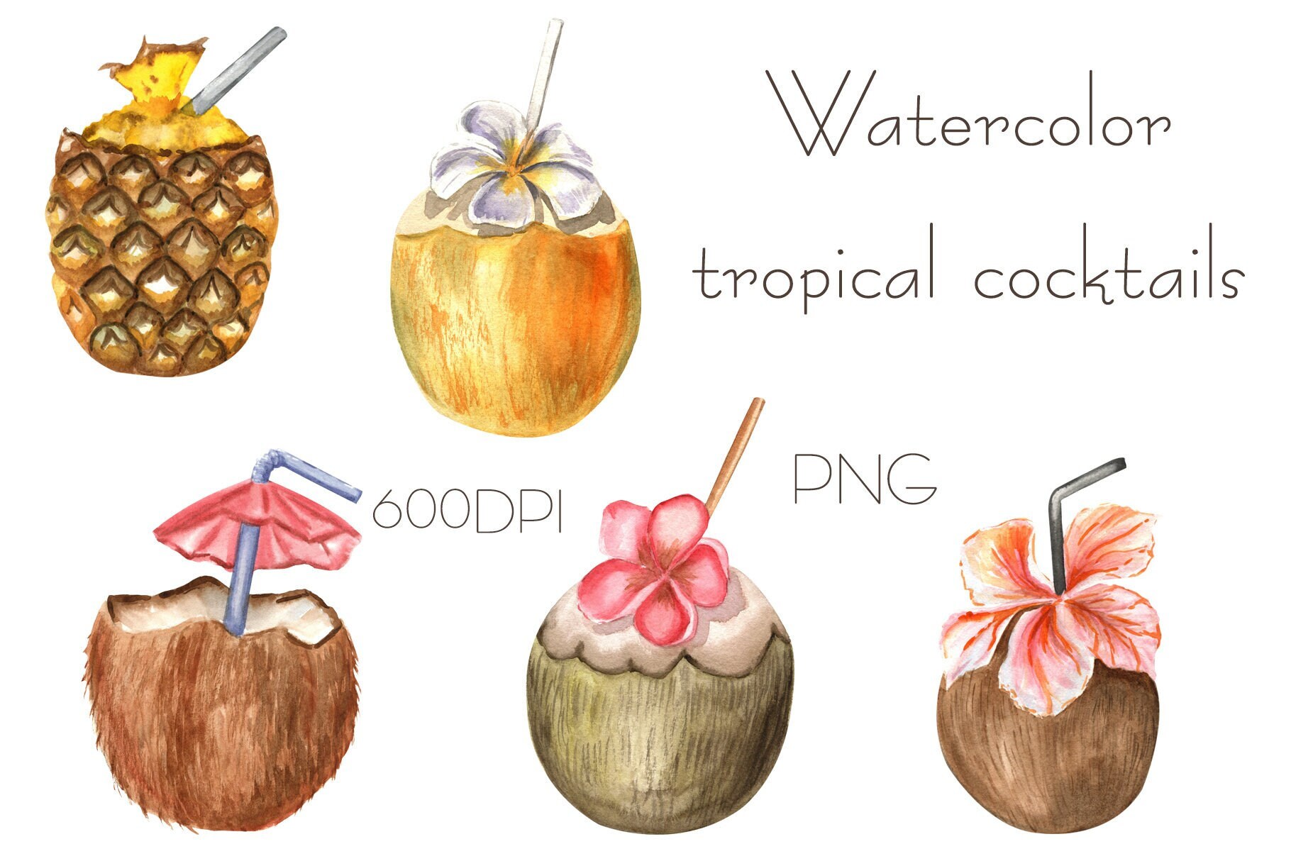 Watercolor Coconuts Clipart, Tropical Summer Clipart, Coconut Cocktail ...