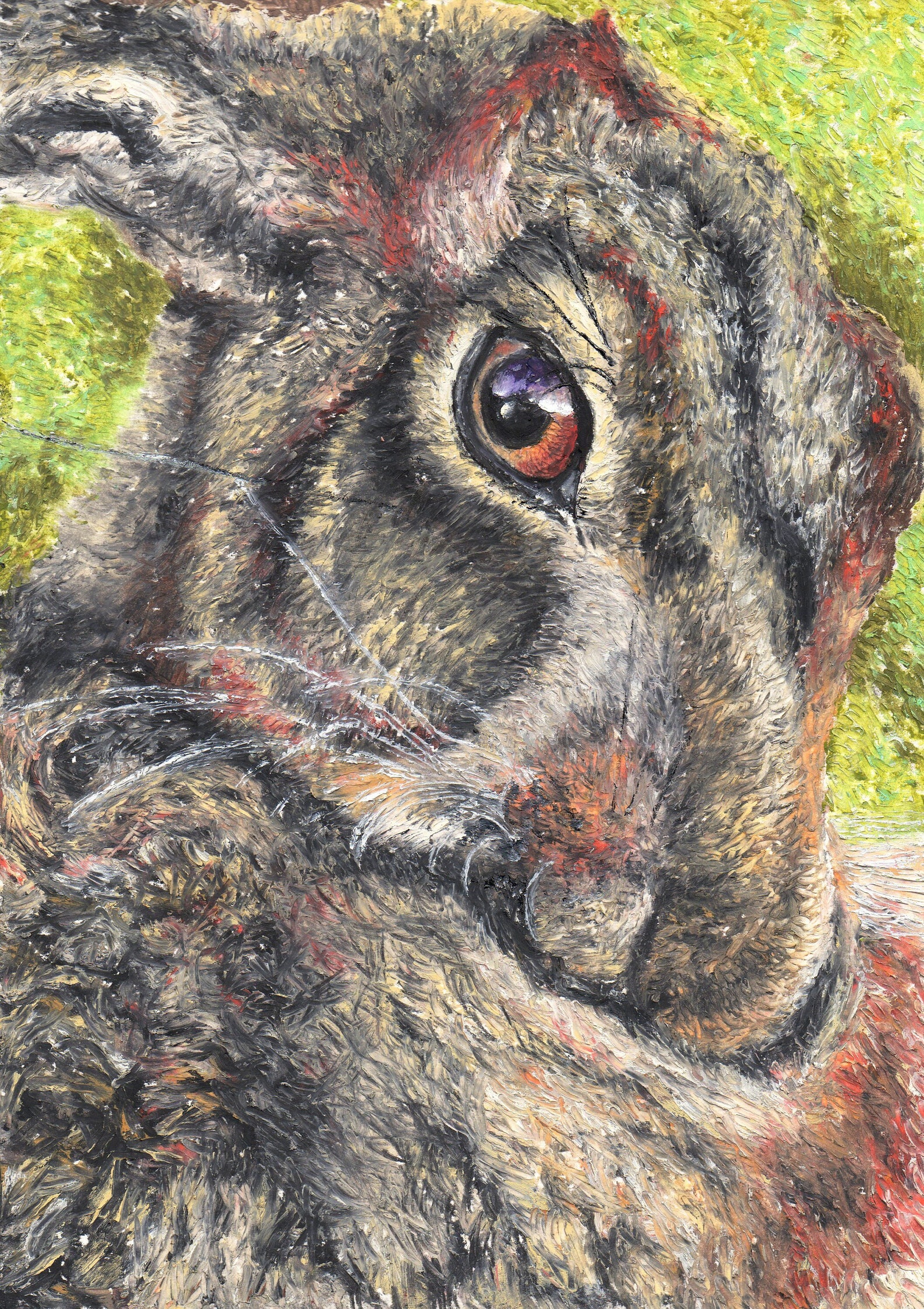 Original Hare Portrait Oil Pastel Painting (framed Ready to Hang) - Etsy