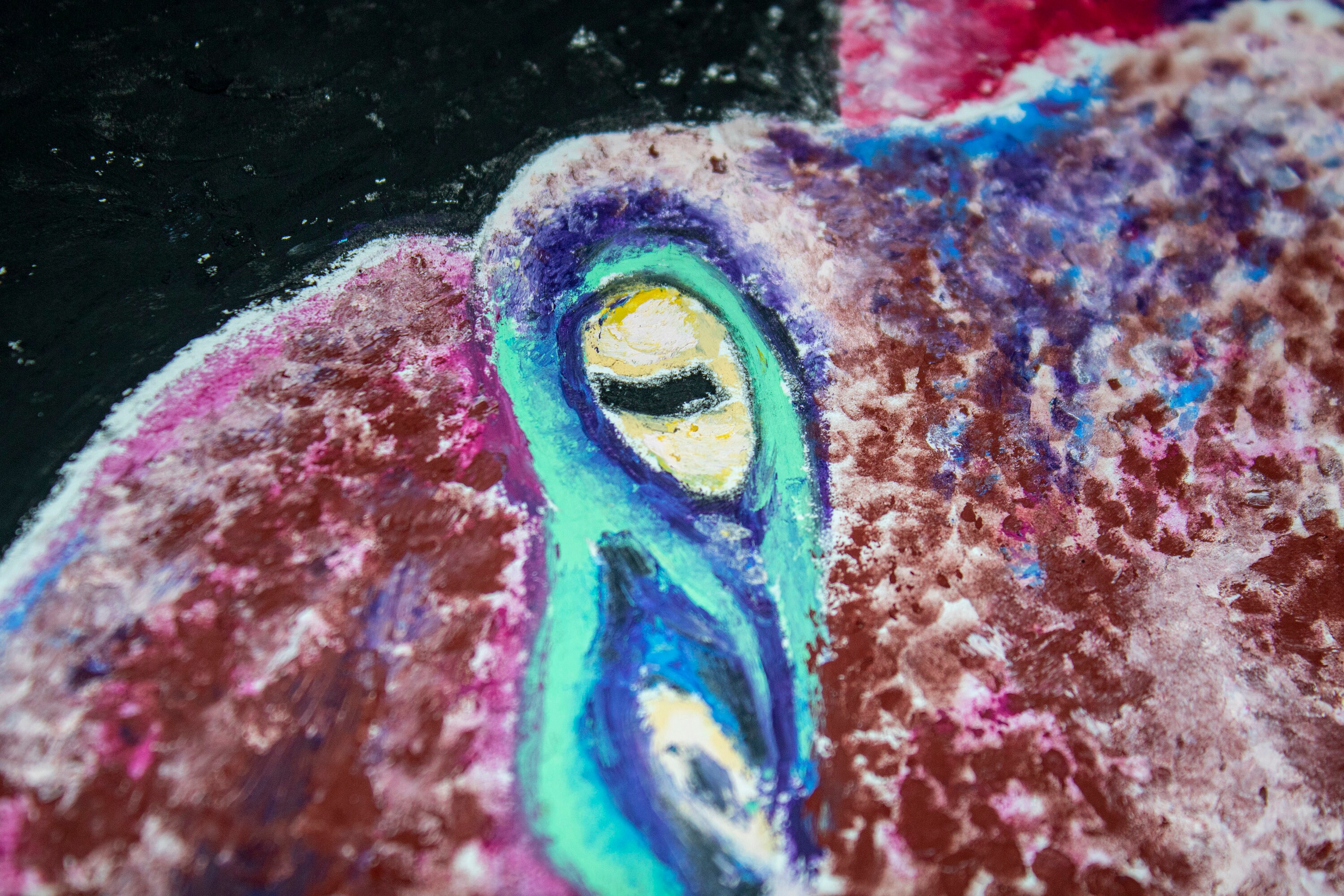 Original Octopus Portrait Oil Pastel Painting (framed Ready to Hang) - Etsy