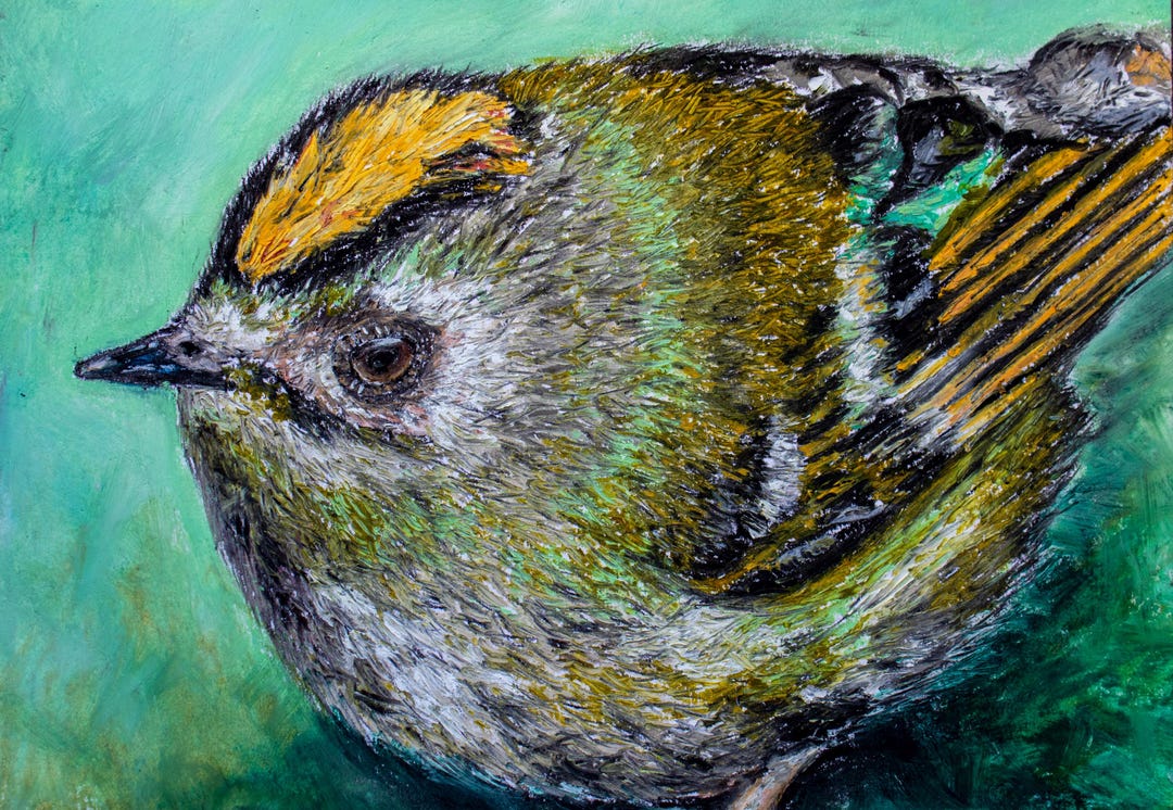 Original Goldcrest Oil Pastel Painting (ready to Hang) - Etsy