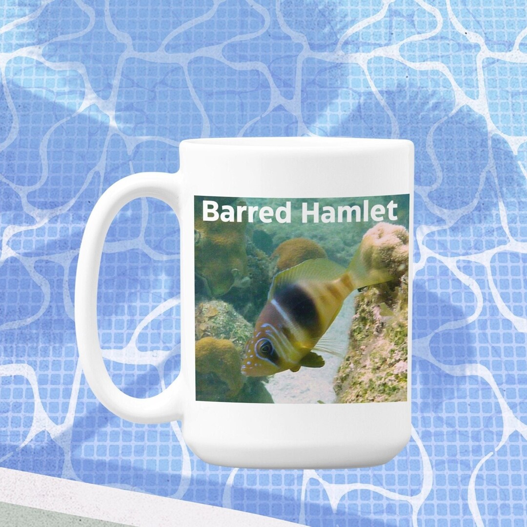 Wild Life Photography, Under the Sea, Barred Hamlet, Hypoplectrus ...