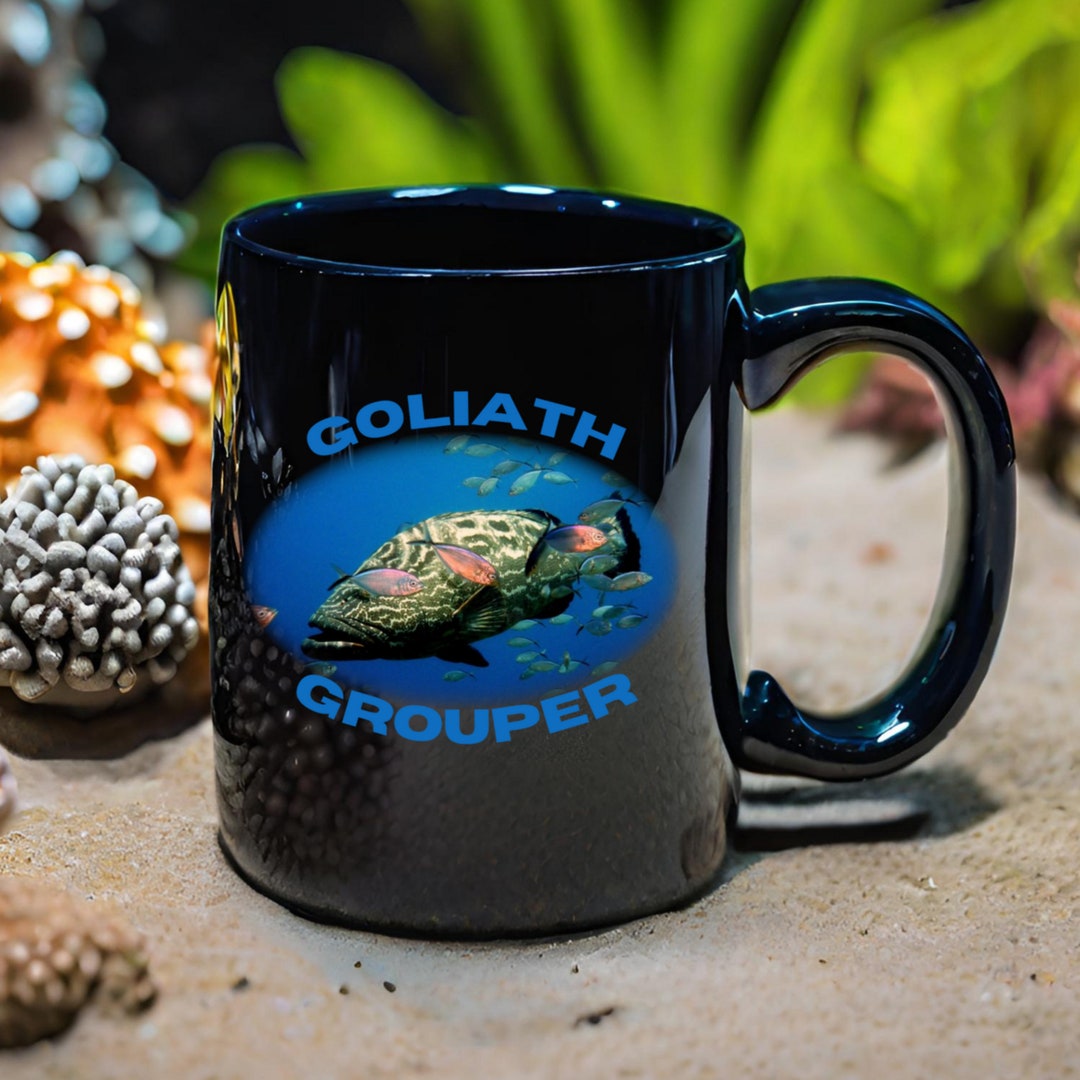 Goliath Grouper, Wildlife Photography, Grouper, Marine Biology, Gulf ...